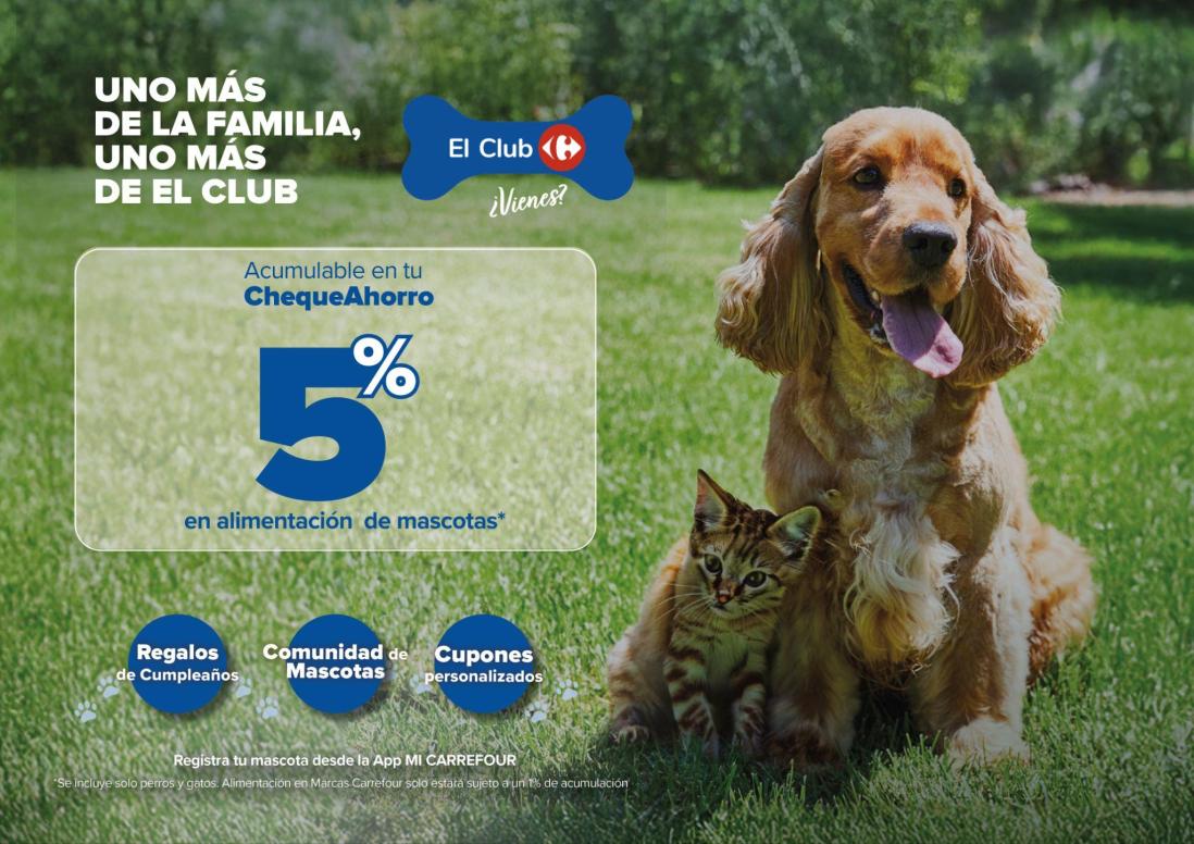 La "humanización" de las mascotas transforma el pets retail - The New ...